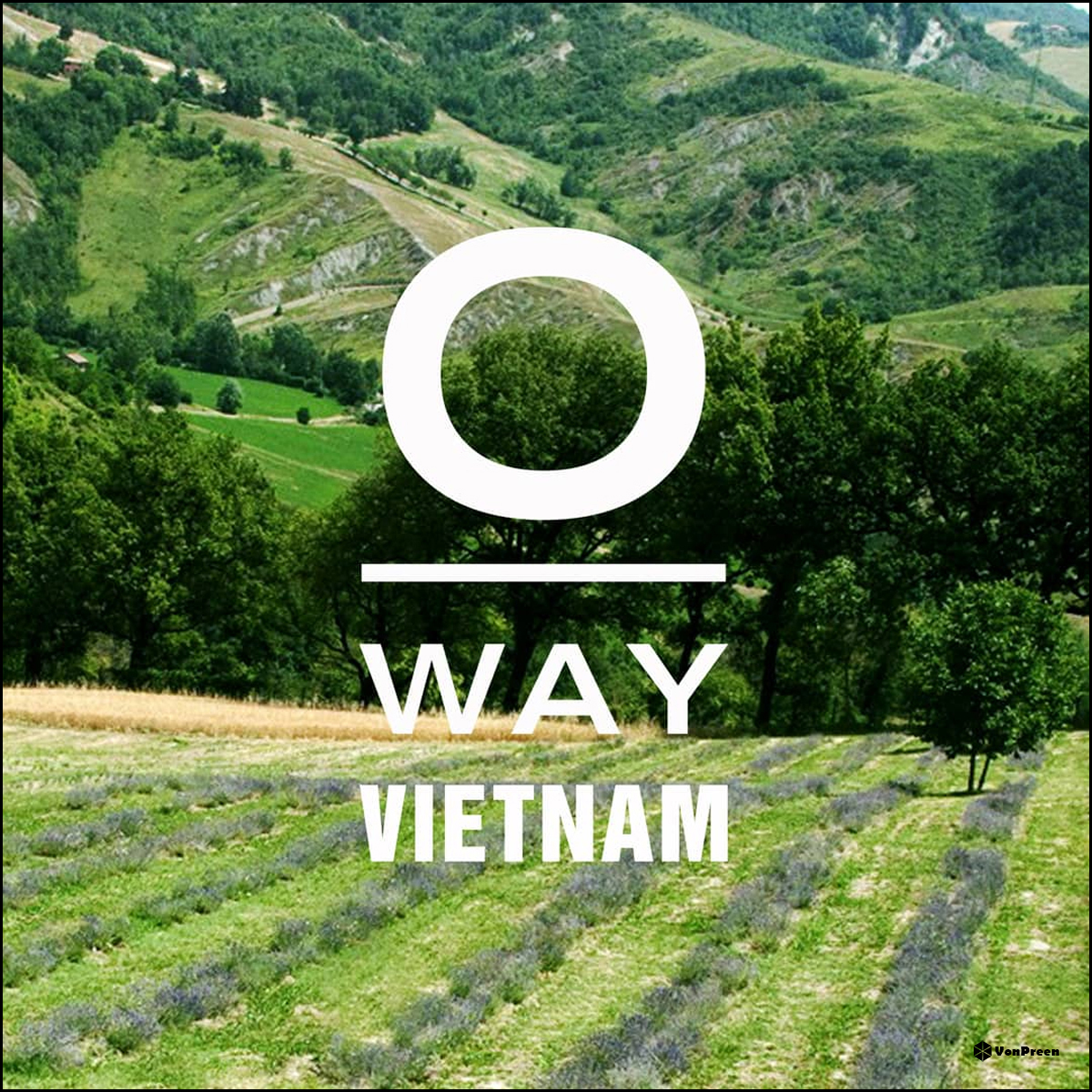 Gel tạo kiểu tóc Oway của nước nào